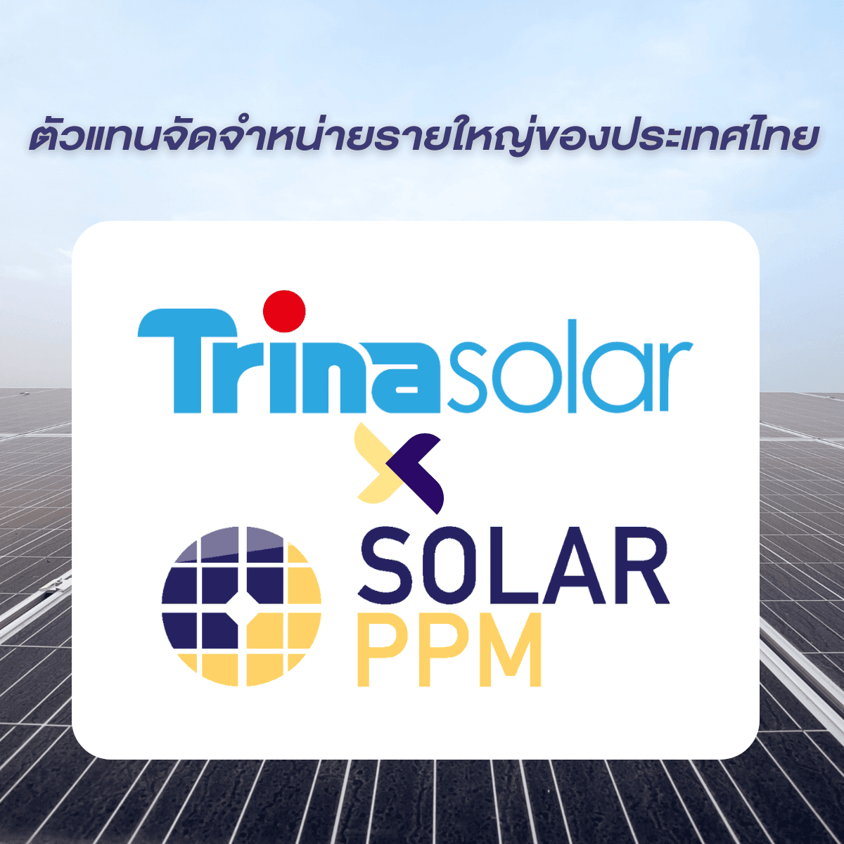 ตัวแทนจัดจำหน่าย Trina solar รายใหญ่ของประเทศไทย - SolarPPM